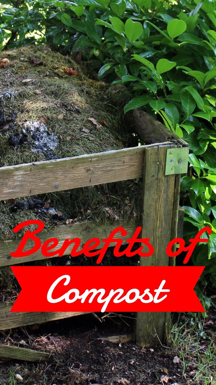 Benefits of compost – How to Compost